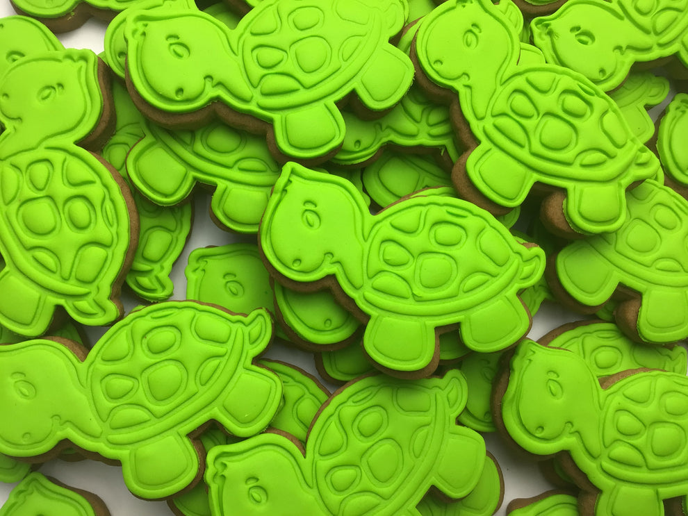 Turtle – House of Gingerbread